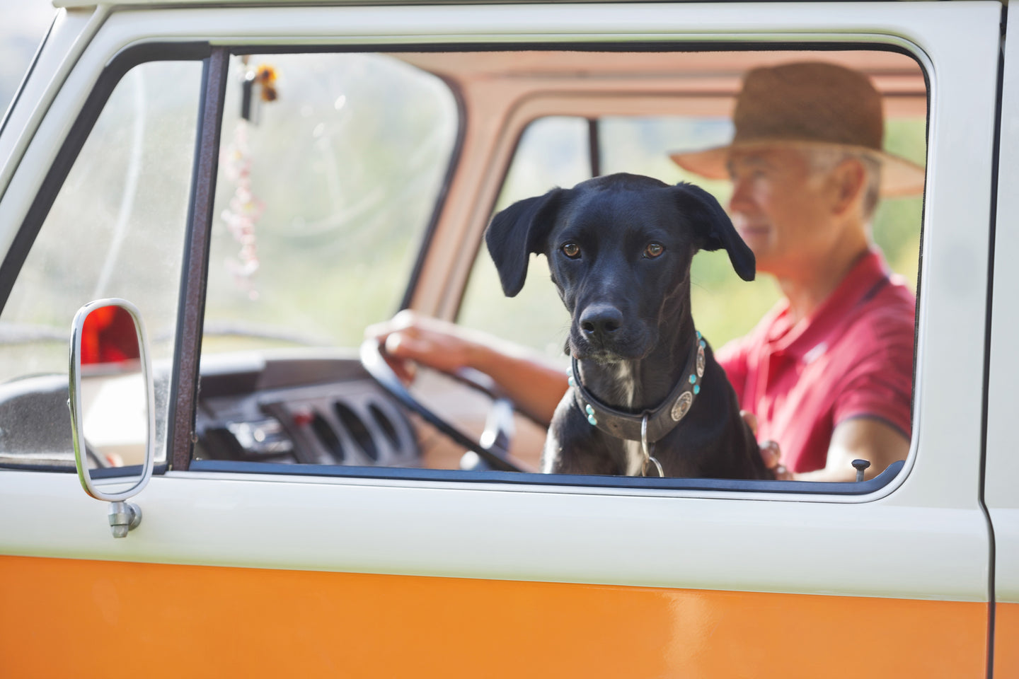 The Red Fern Dogs Company – The Redfern Company